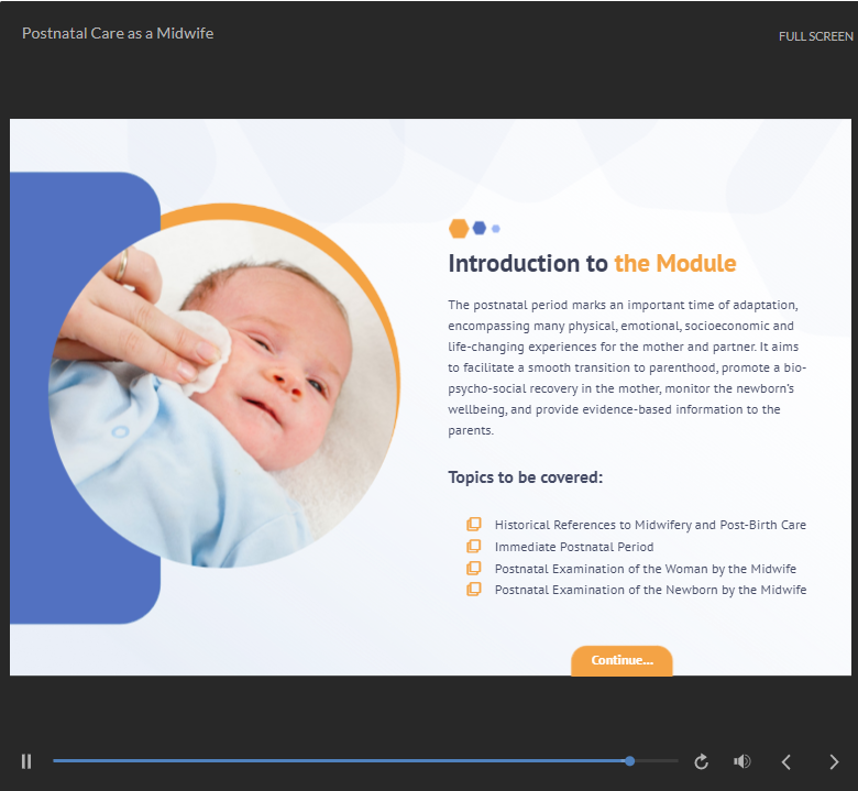 Introduction to Midwifery Certificate – Prudence Training Centre