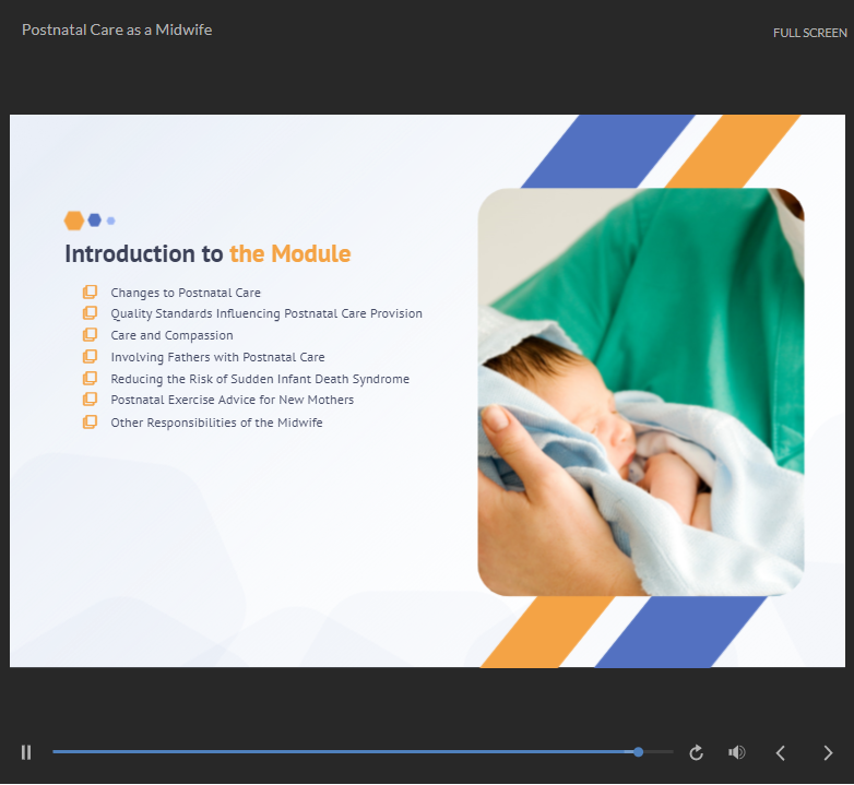 Introduction to Midwifery Certificate – Prudence Training Centre